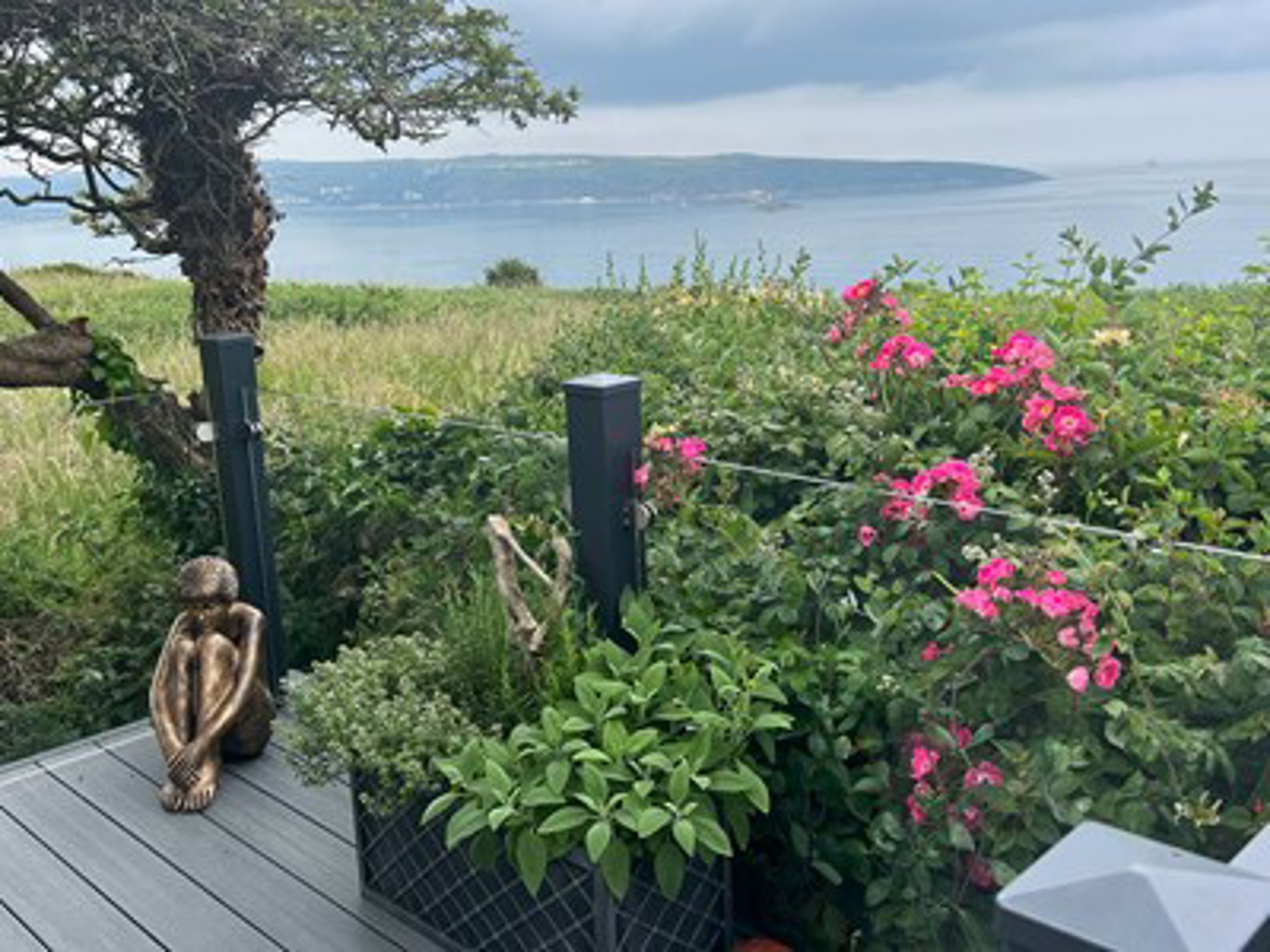 Superior Lodges | Fishguard Bay Resort